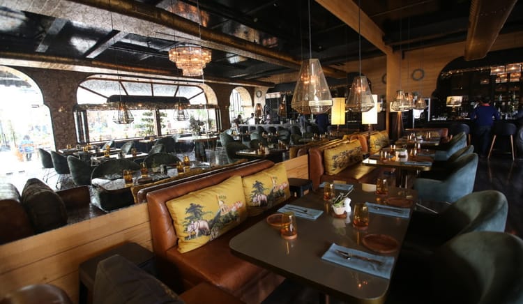 QLA in Mehrauli | Get Upto 50% Off