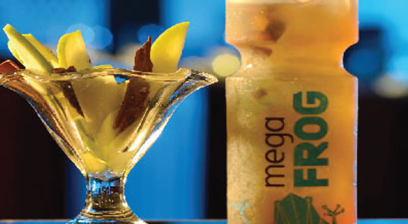 Menu of The Blue Frog, Lower Parel, South Mumbai