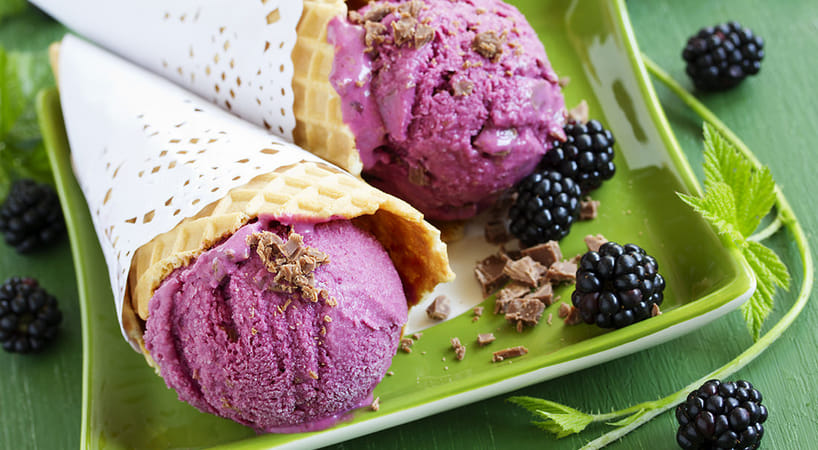 About Prerna Premier Ice Cream, Margao, South Goa