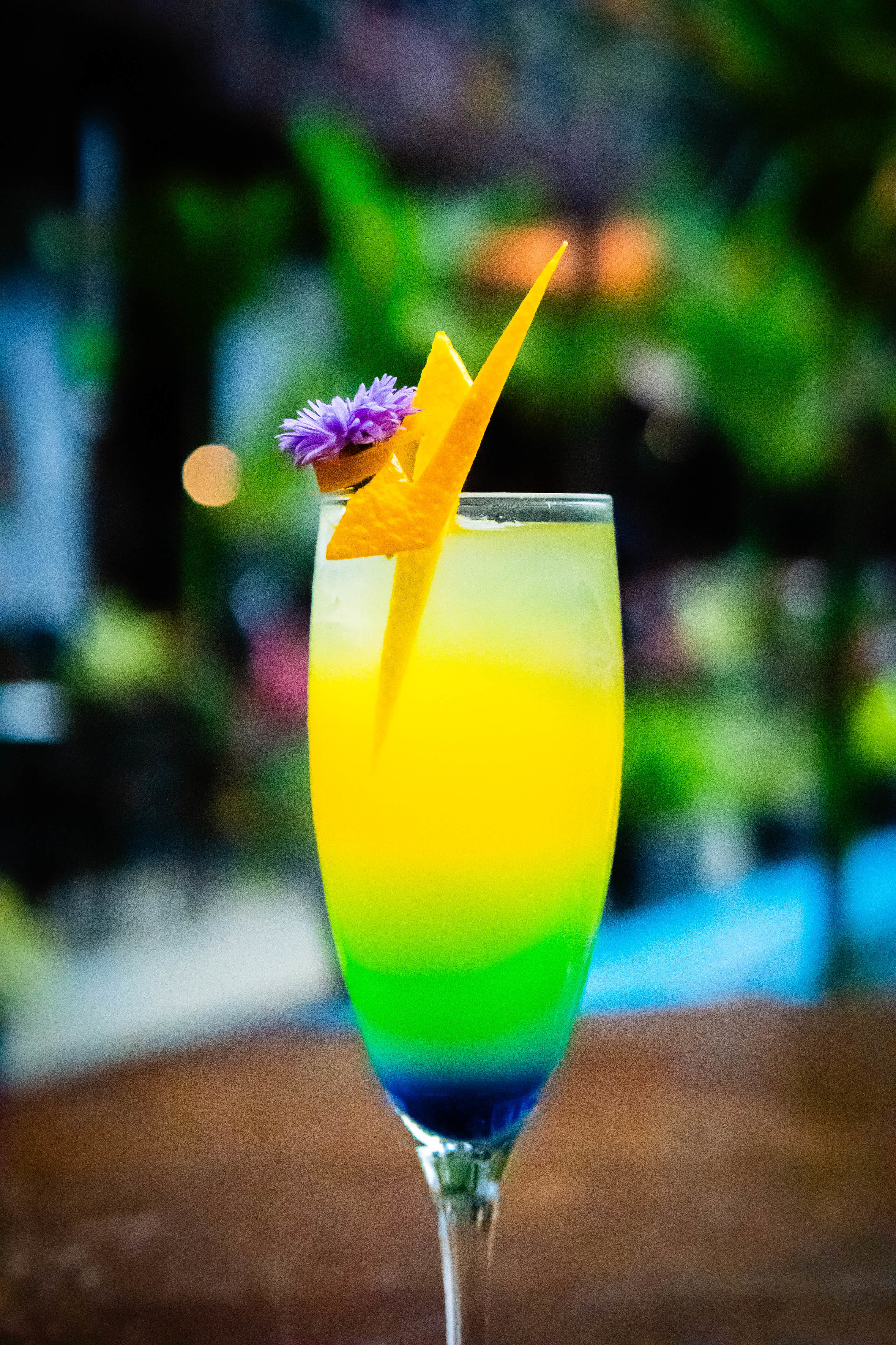 Hoot Cafe & Brewery in Sarjapur Road, South Bengaluru | Get Upto 50% Off