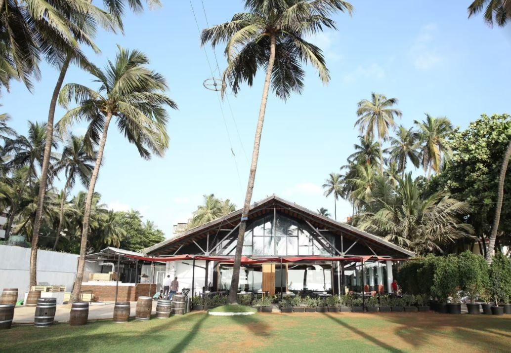 Razzberry Rhinoceros in Juhu Hotel, Mumbai | Get Upto 50% Off