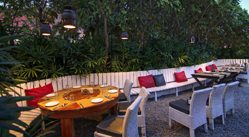 About The Forresta Kitchen & Bar, Bani Park, Jaipur