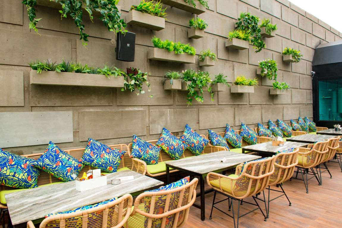 Best Bars and Pubs in Sector 29, Gurgaon | EazyDiner