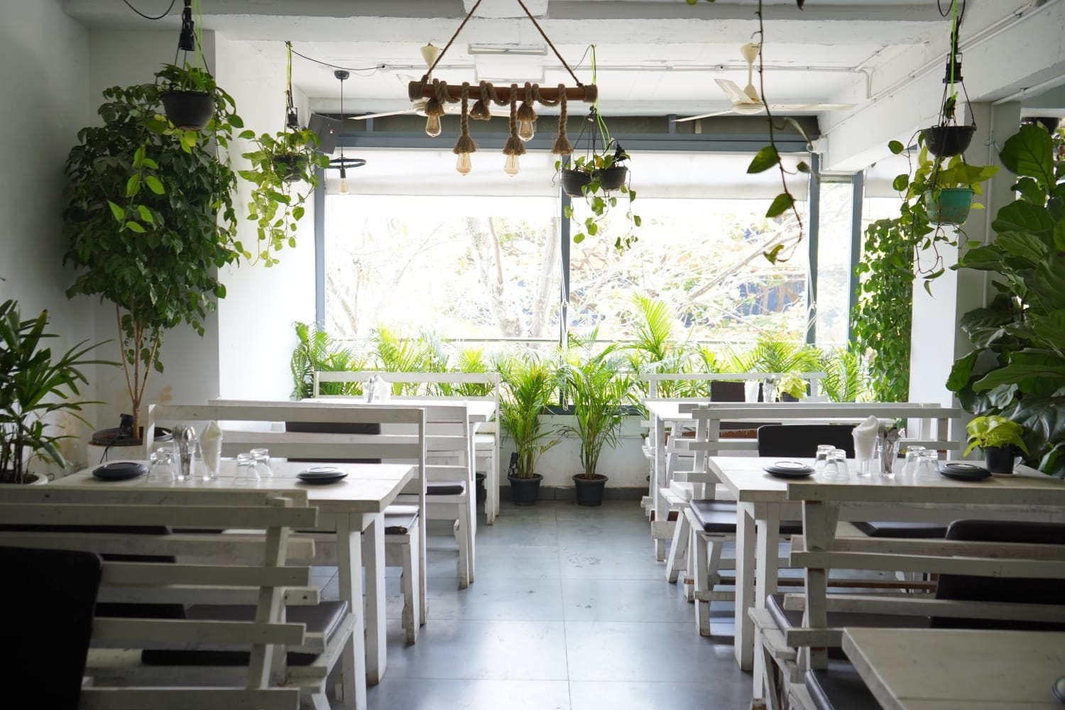 Explore Oyster - Bar & Kitchen in HSR, South Bengaluru