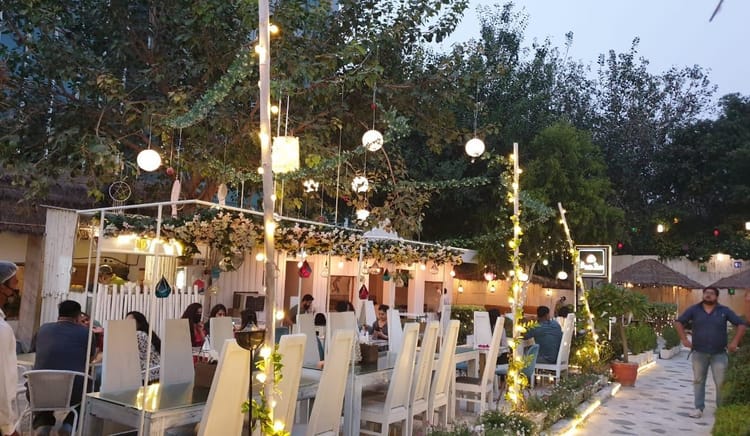 Explore The Big Tree Cafe in Sector 54, Gurgaon