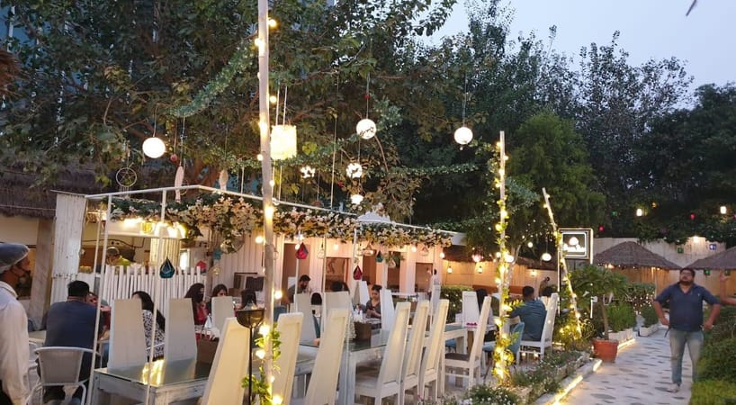 Explore The Big Tree Cafe in Sector 54, Gurgaon