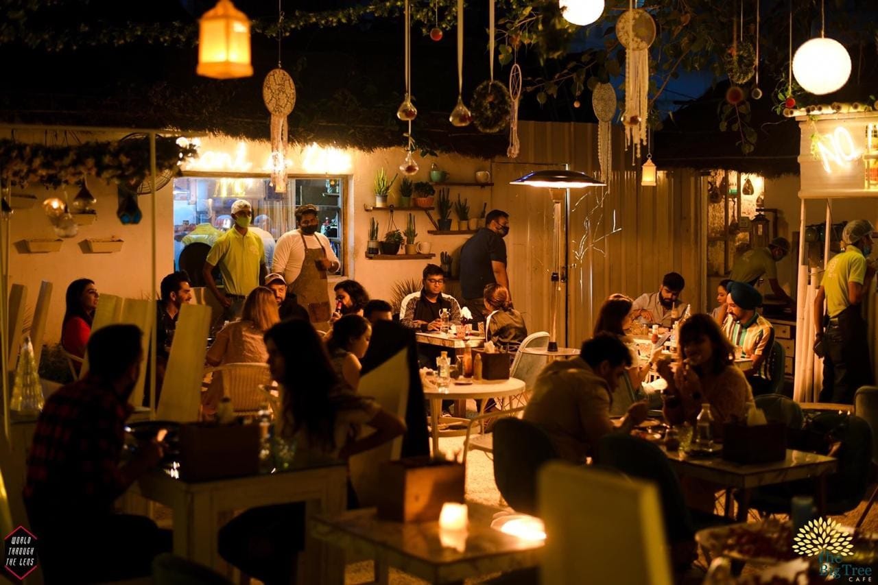 Explore The Big Tree Cafe in Sector 54, Gurgaon