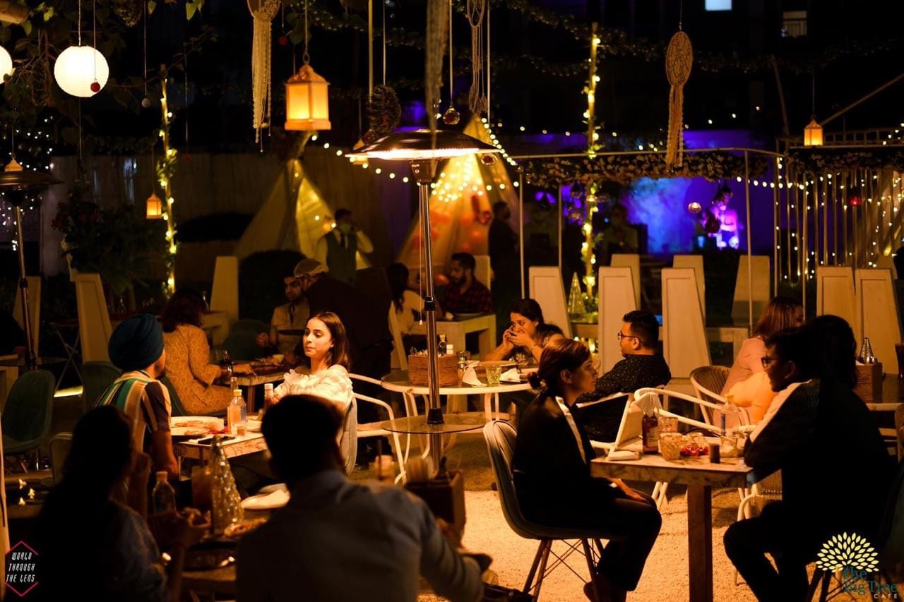 Explore The Big Tree Cafe in Sector 54, Gurgaon