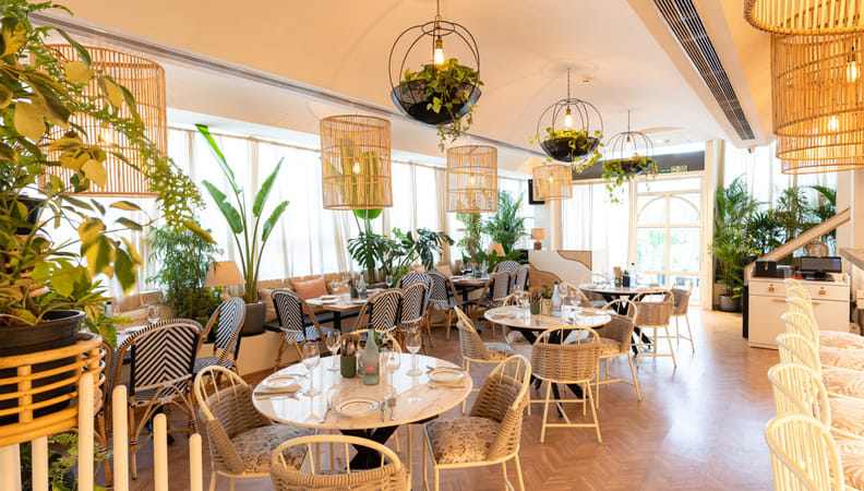Demy Bar + Kitchen in Lower Parel, South Mumbai | Get Upto 50% Off