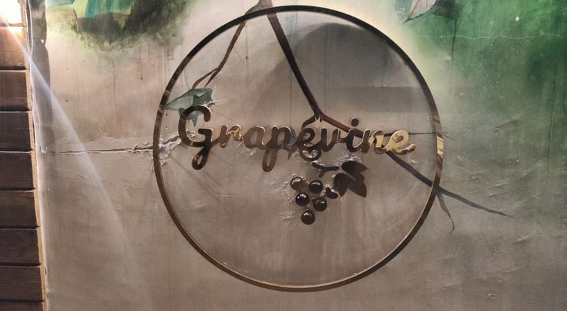 Grapevine Story in Hotel Shambhu Villas, Udaipur | Get Upto 50% Off