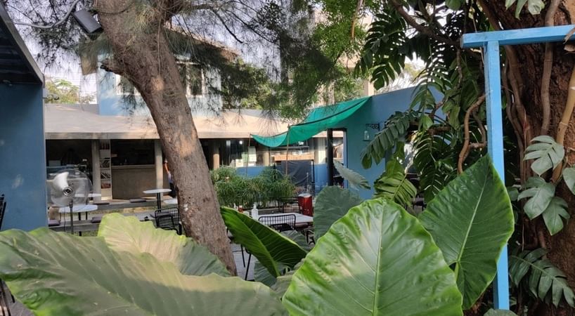 Menu of OTC - Old Tree Cafe, Kompally, Hyderabad