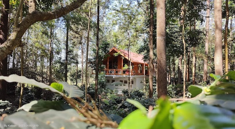 Explore Citrus Trail Farm & Kitchen in Bannerghatta Road, South Bengaluru