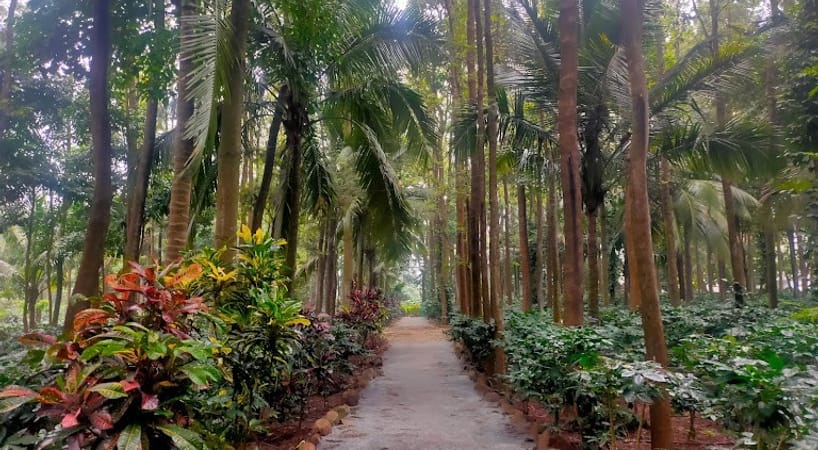Menu of Citrus Trail Farm & Kitchen, Bannerghatta Road, South Bengaluru