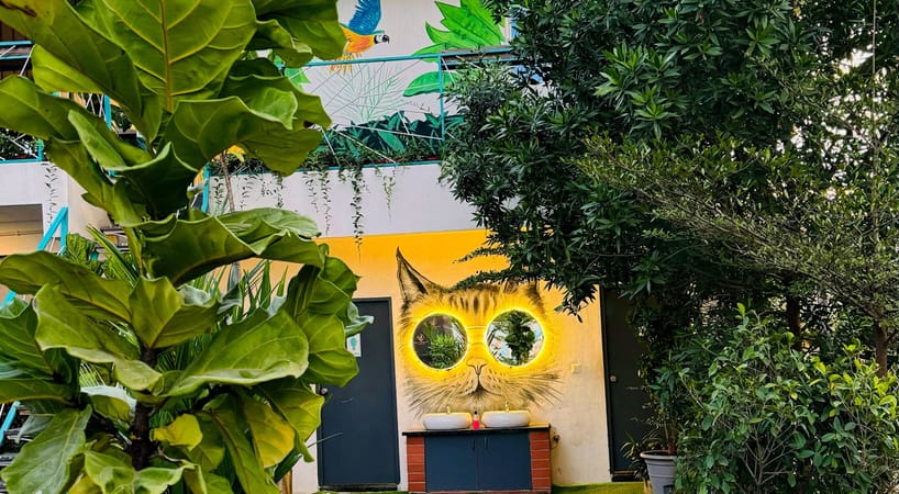 The Secret Place Resto Bar in Nagarbhavi, West Bengaluru | Get Upto 50% Off