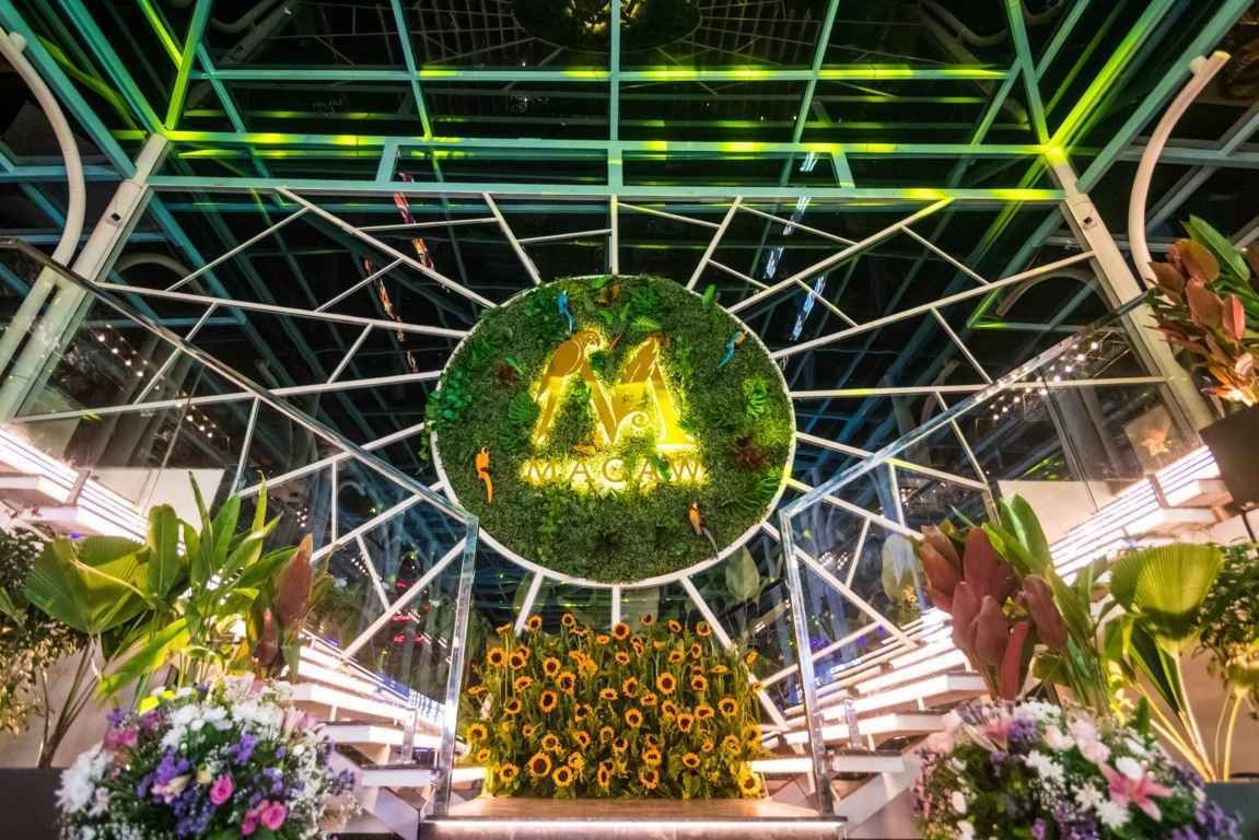 Menu of Macaw By Stories, Singsandra Hosur Main Road