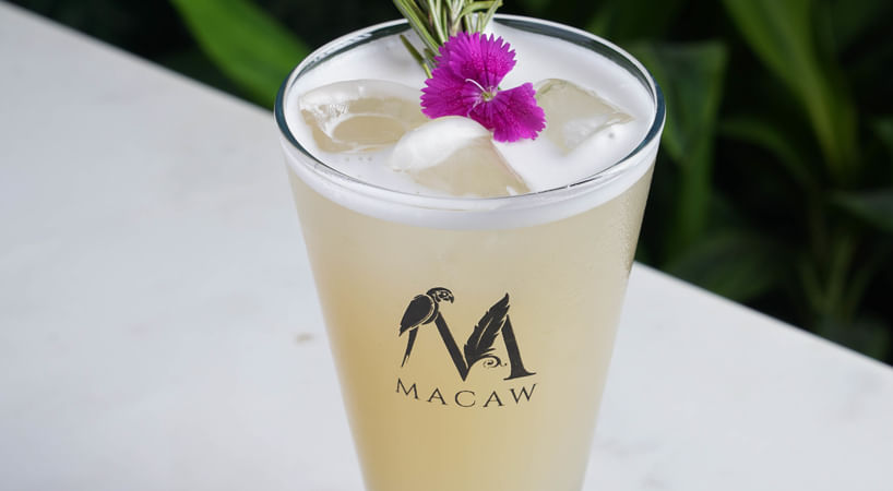 Menu of Macaw By Stories, Singsandra Hosur Main Road