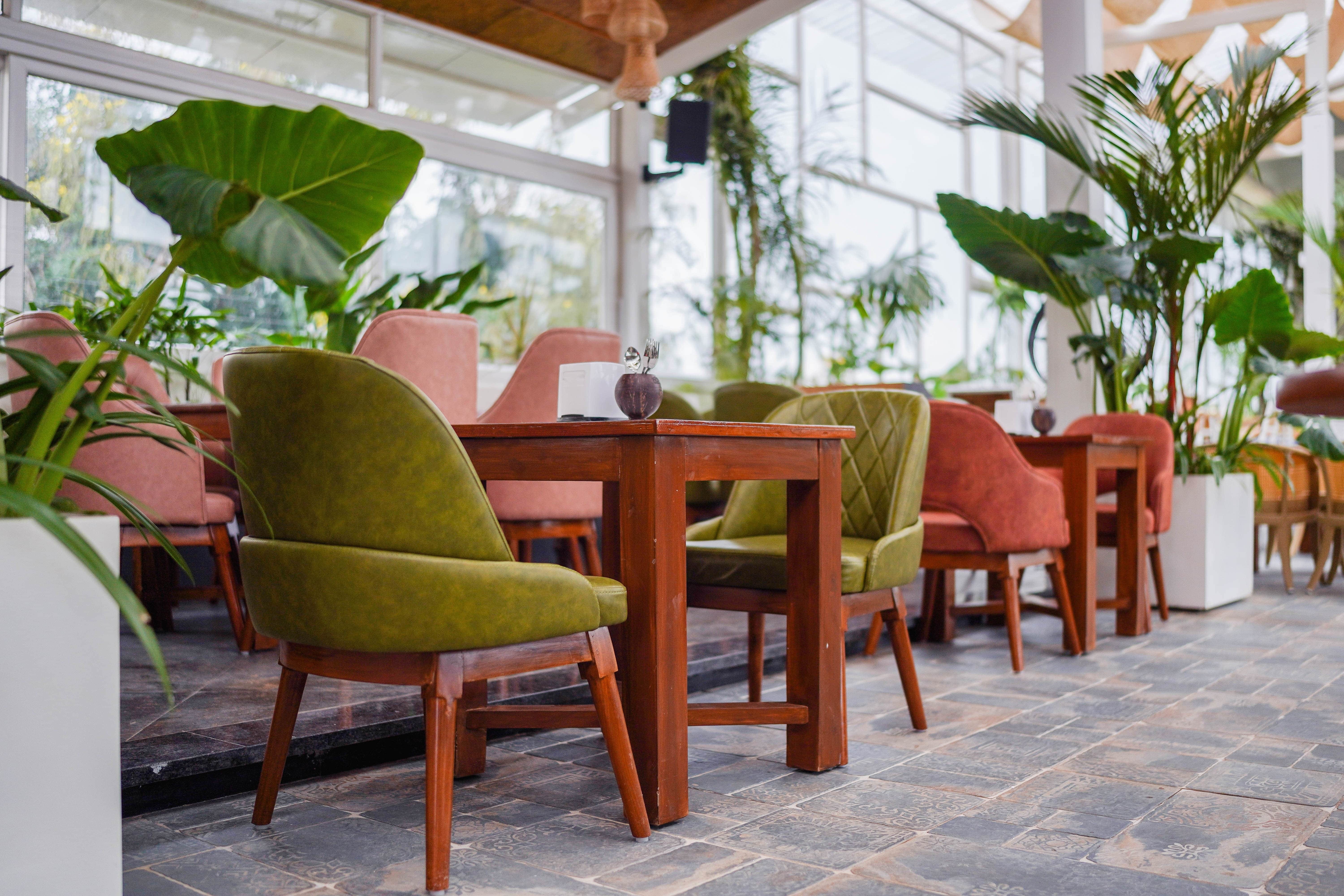 Cocobolo in New BEL Road, North Bengaluru | Get Upto 50% Off