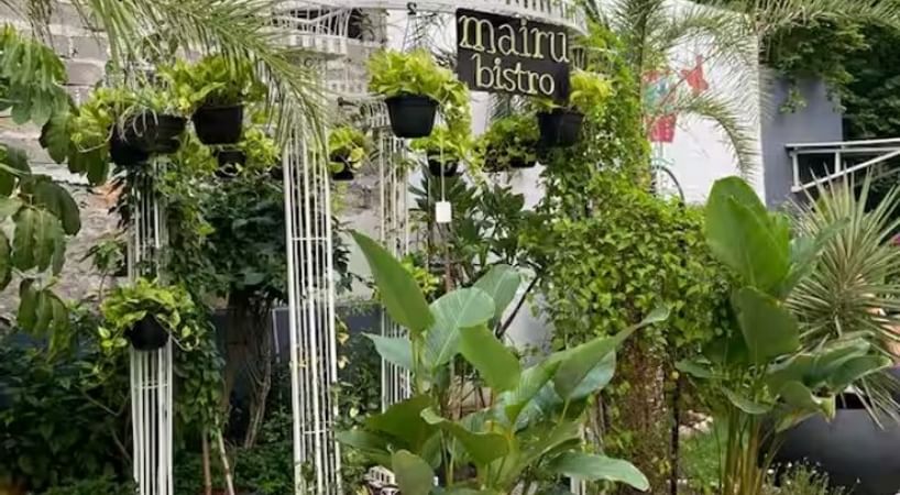 Mairu Bistro in Jubilee Hills, Hyderabad | Get Upto 50% Off