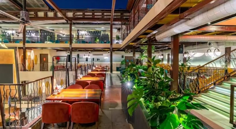 ZYTHUM Brewing Co. in Jubilee Hills, Hyderabad | Get Upto 50% Off