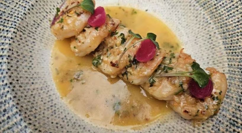 ZYTHUM Brewing Co. in Jubilee Hills, Hyderabad | Get Upto 50% Off