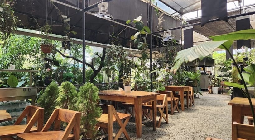 Fress Trees Garden & Cafe in Edappally, Kochi | Get Upto 50% Off