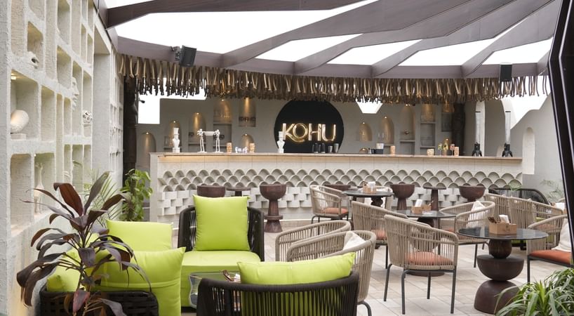 Explore Kohu in Punjabi Bagh