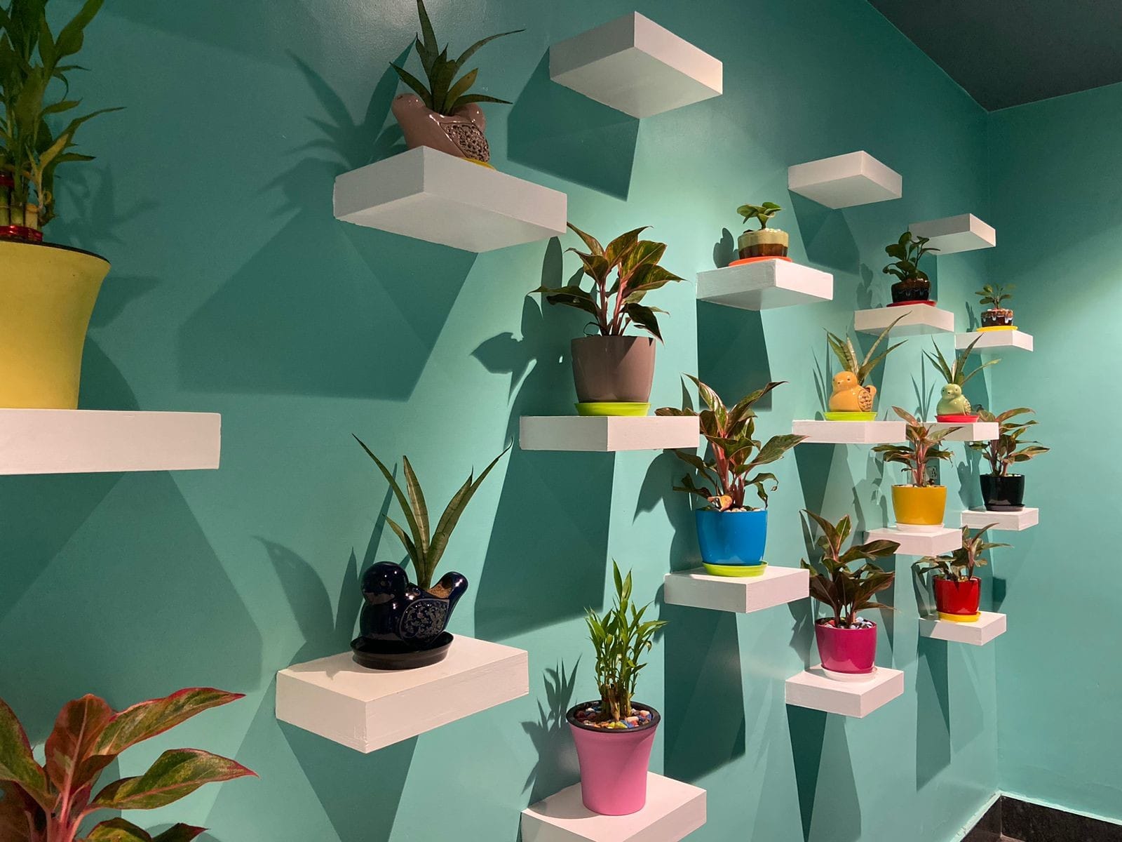 Menu of Birch, Patia, Bhubaneswar