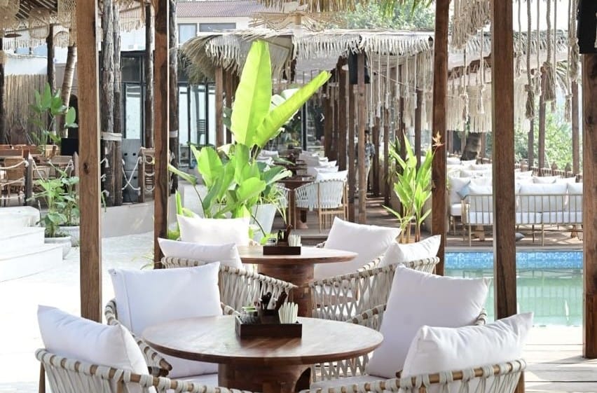 Noah in Ozran Beach Road , Goa | Get Upto 50% Off