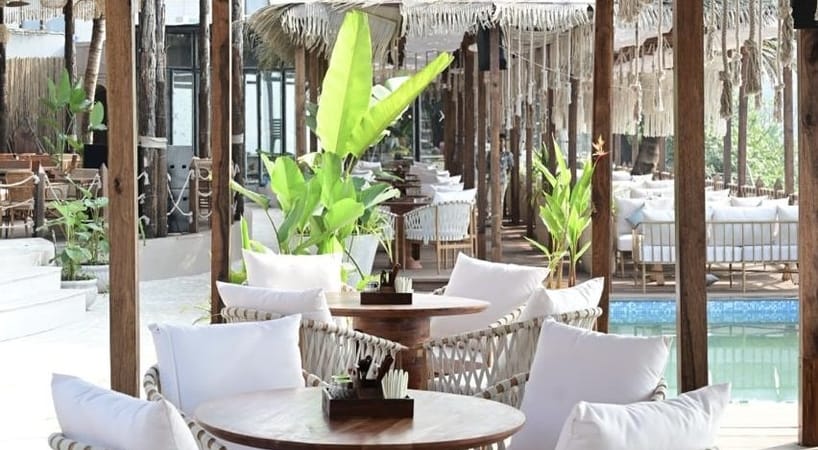 Noah in Ozran Beach Road , Goa | Get Upto 50% Off