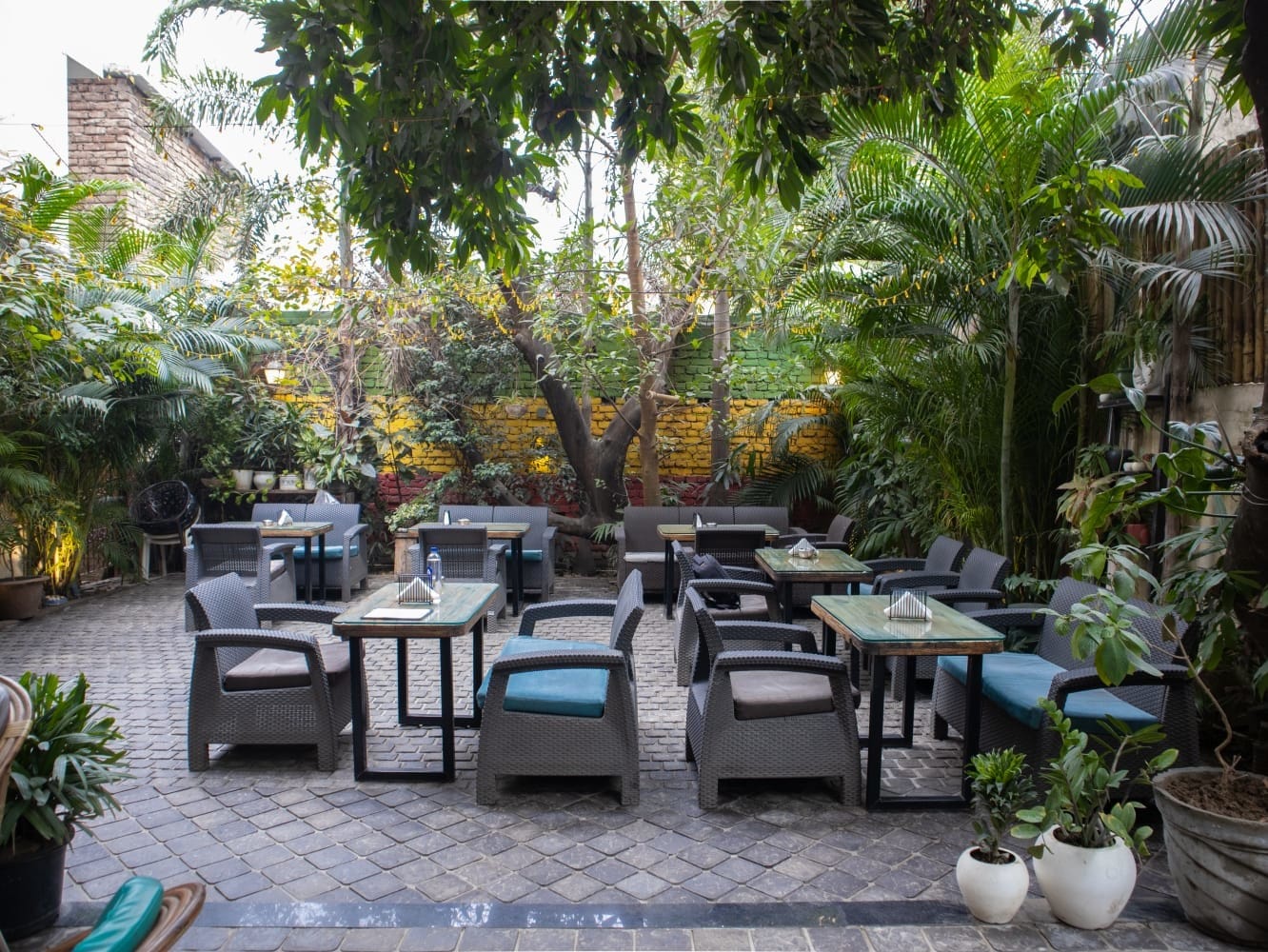 DNA Cafe Be Hurry in Boring Road, Patna | Get Upto 50% Off