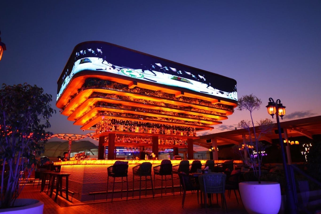 Explore The Big Tree Cafe in Sector 54, Gurgaon