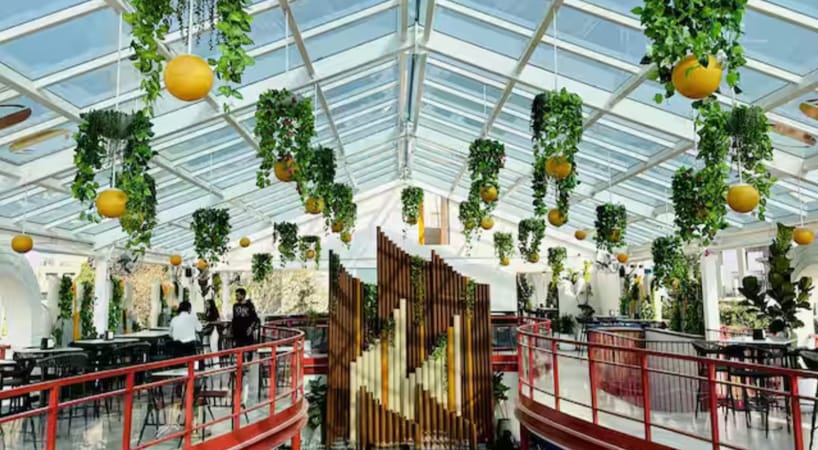 Toca Terrace in Brigade Road, Central Bengaluru | Get Upto 50% Off