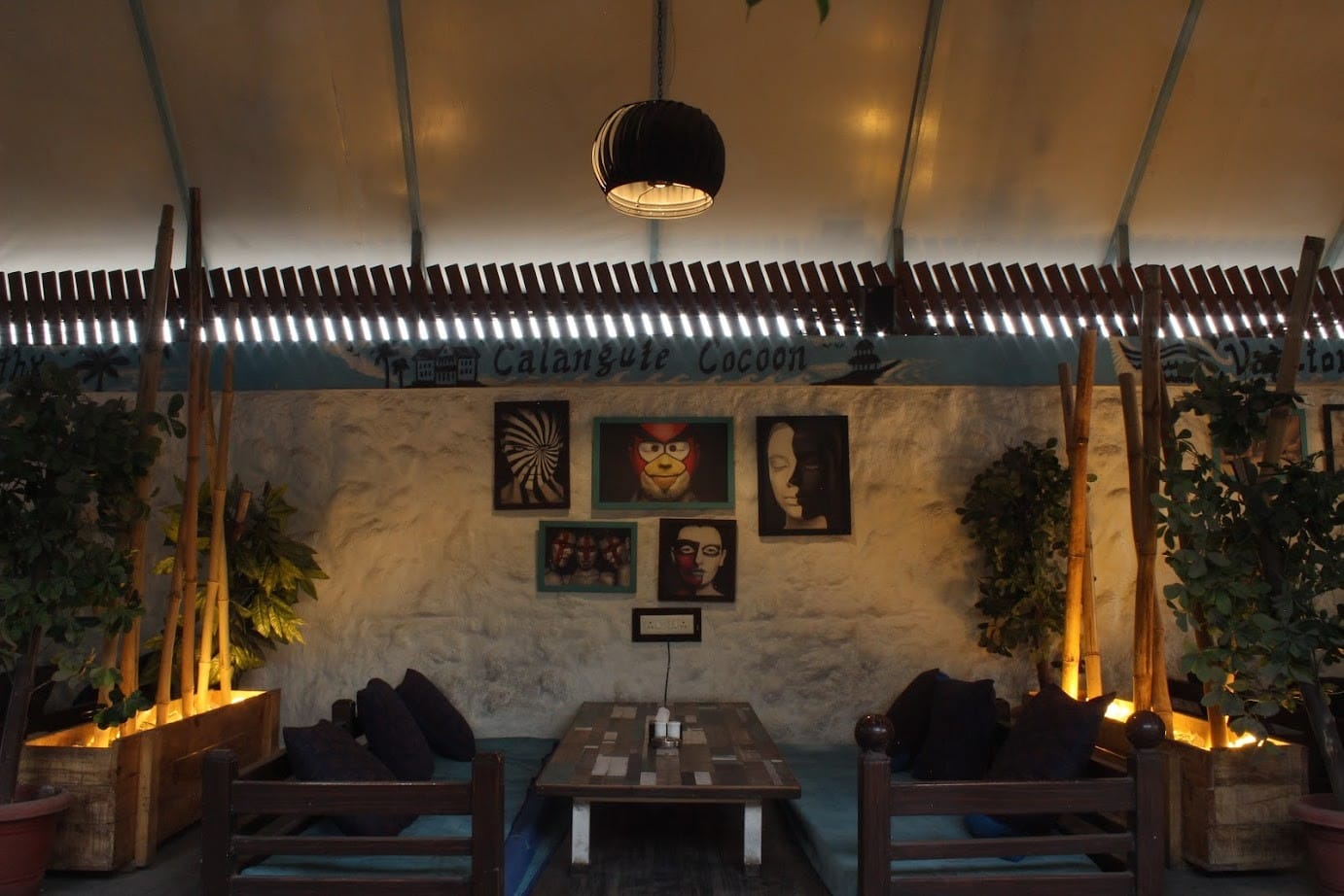 The Cult - Terra in Magarpatta, Pune | Get Upto 50% Off