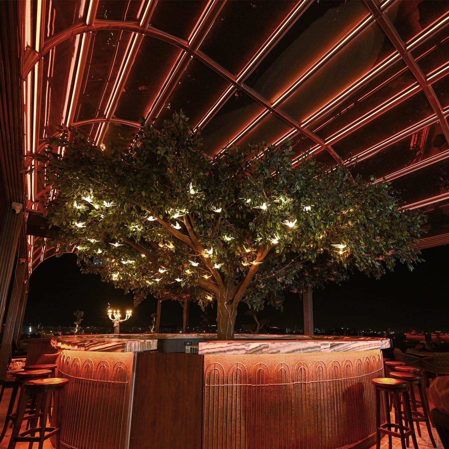 Best Restaurants in C Scheme, Jaipur | EazyDiner