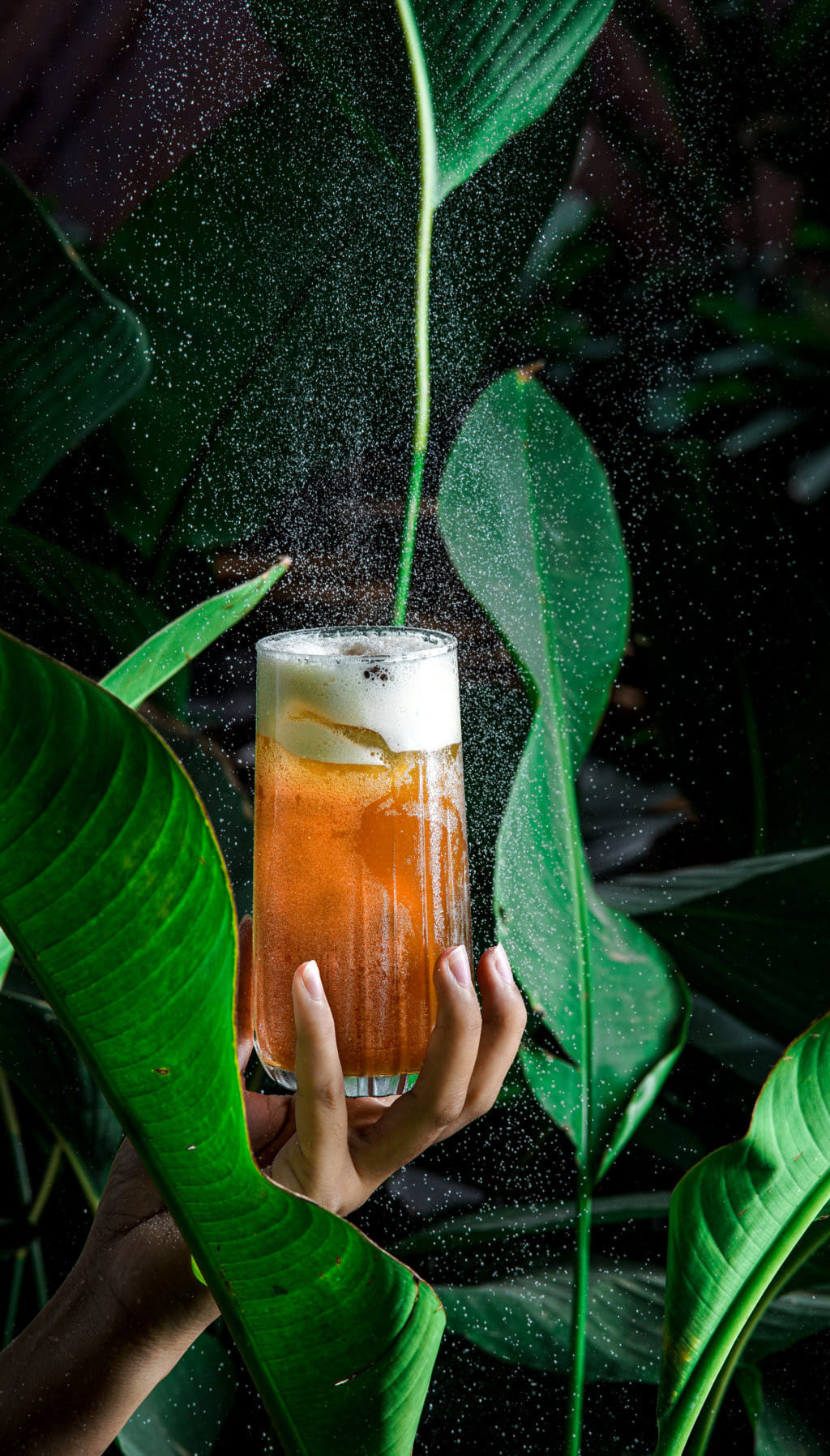 The Palms Brew & Kitchen in JP Nagar, South Bengaluru | Get Upto 50% Off