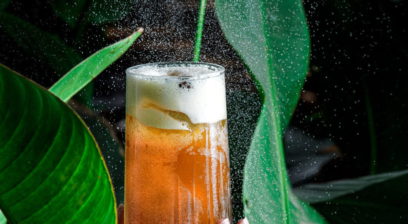 Menu of The Palms Brew & Kitchen, JP Nagar, South Bengaluru