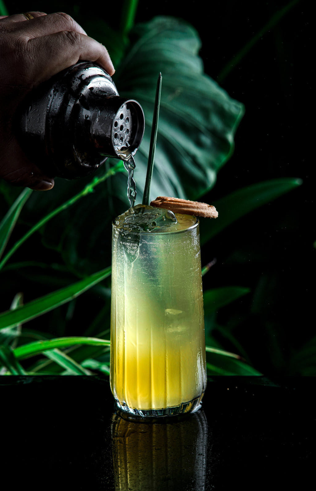 The Palms Brew & Kitchen in JP Nagar, South Bengaluru | Get Upto 50% Off