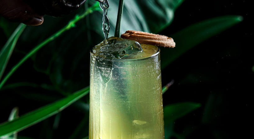 Menu of The Palms Brew & Kitchen, JP Nagar, South Bengaluru