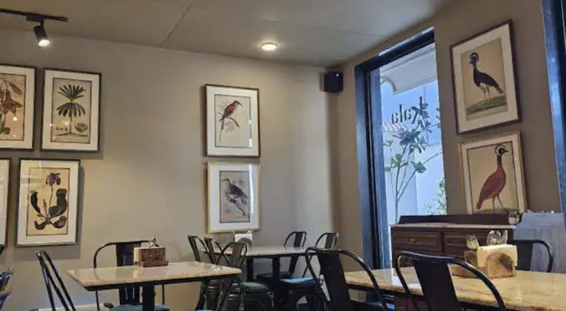 Menu of Kala Cafe, Parliament Street, Central Delhi