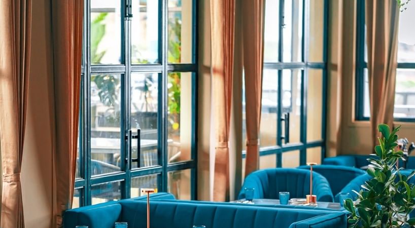 Jamming Goat 3.0 in Kokapet, Hyderabad | Get Upto 50% Off