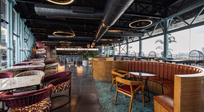 Macaw by Stories in Sholinganallur, Chennai | Get Upto 50% Off