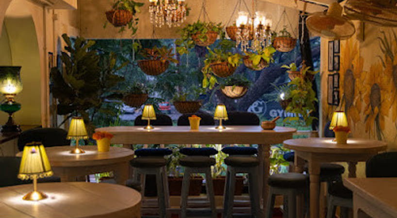 Explore Jaffna Jump in Panaji, North Goa