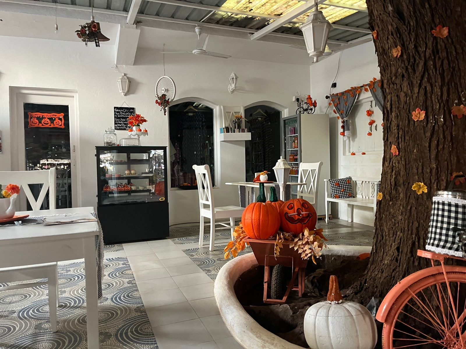 Menu of Fat Fish, Baga, North Goa