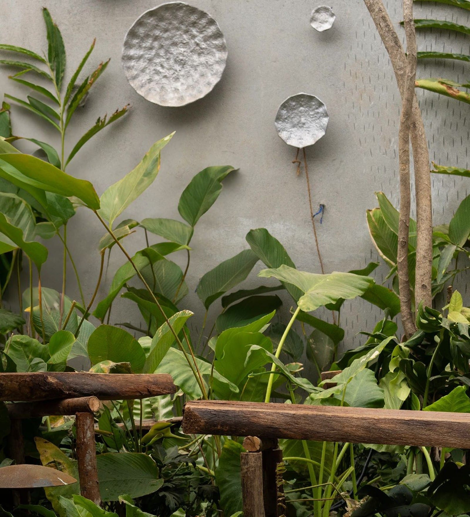 Menu of Kaavu, Brookefield, East Bengaluru