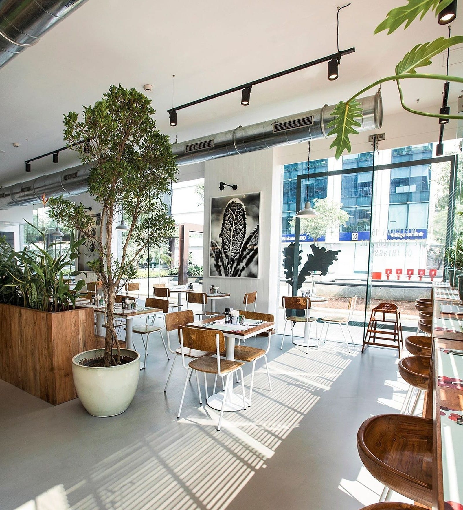 La Panthera in Bandra Kurla Complex (BKC), Western Suburbs | Get Upto ...