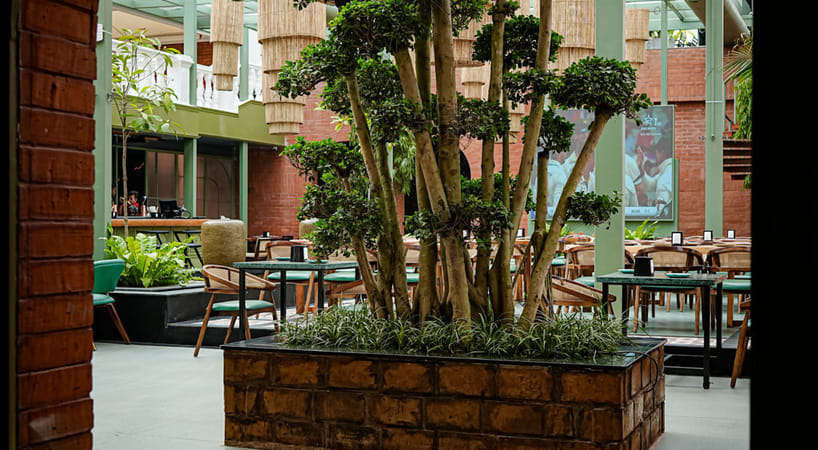 Bier Loft Brewing Co. in Electronic City Phase 1, South Bengaluru | Get ...