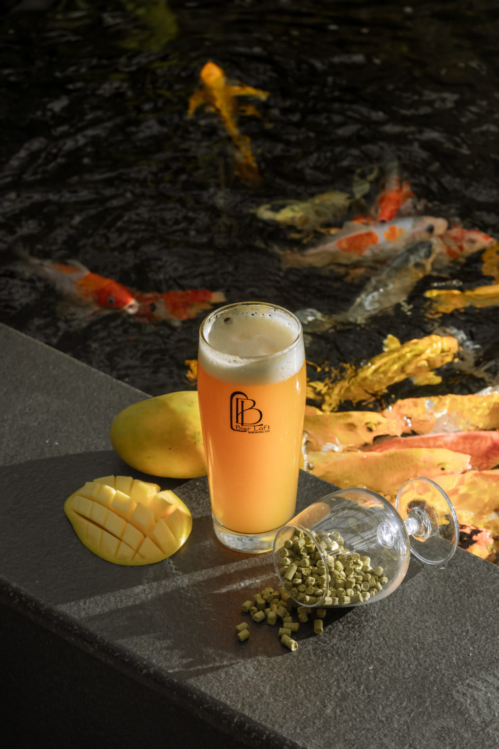 Bier Loft Brewing Co. in Electronic City Phase 1, South Bengaluru | Get ...