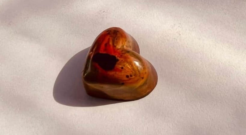 Explore Criollo Cafe By Craft Coffee in Park Street Area, Kolkata