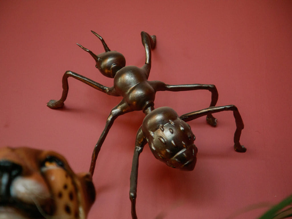 Menu of Amazonia, Bandra Kurla Complex (BKC), Western Suburbs