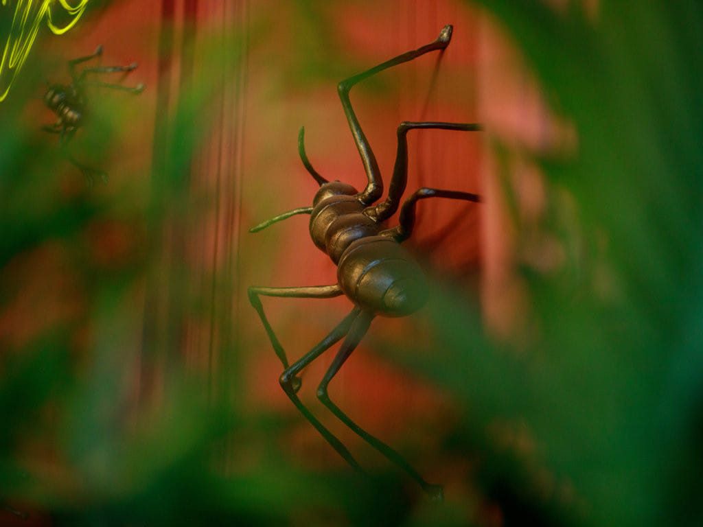 Menu of Amazonia, Bandra Kurla Complex (BKC), Western Suburbs